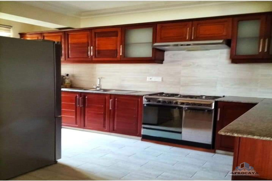 Apartment For Rent Upanga Ilala Dar Es Salaam 107 | Afrocaya